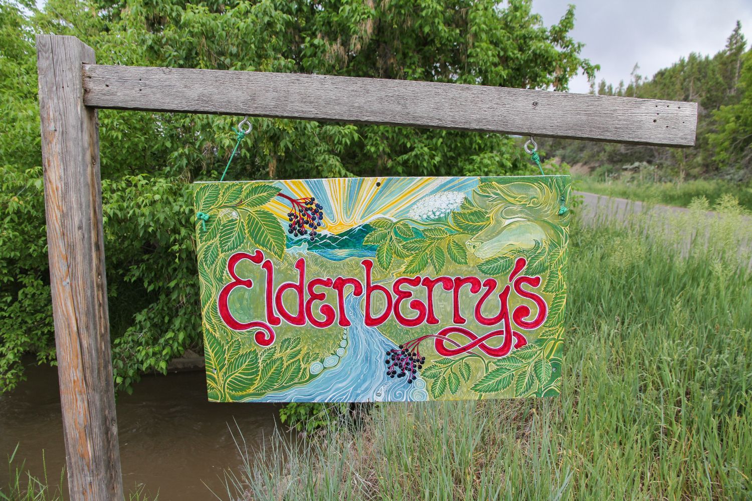 Herbal Education by Lisa Ganora - Elderberry's Farm